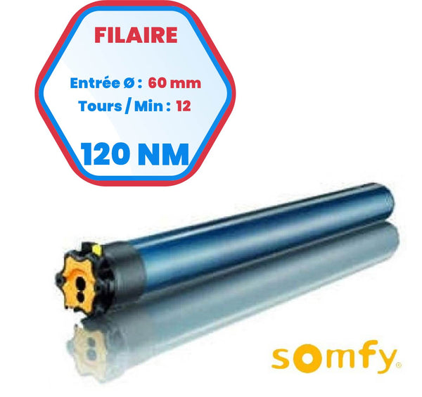LT 60 TAURUS 120/12 - Moteur Somfy